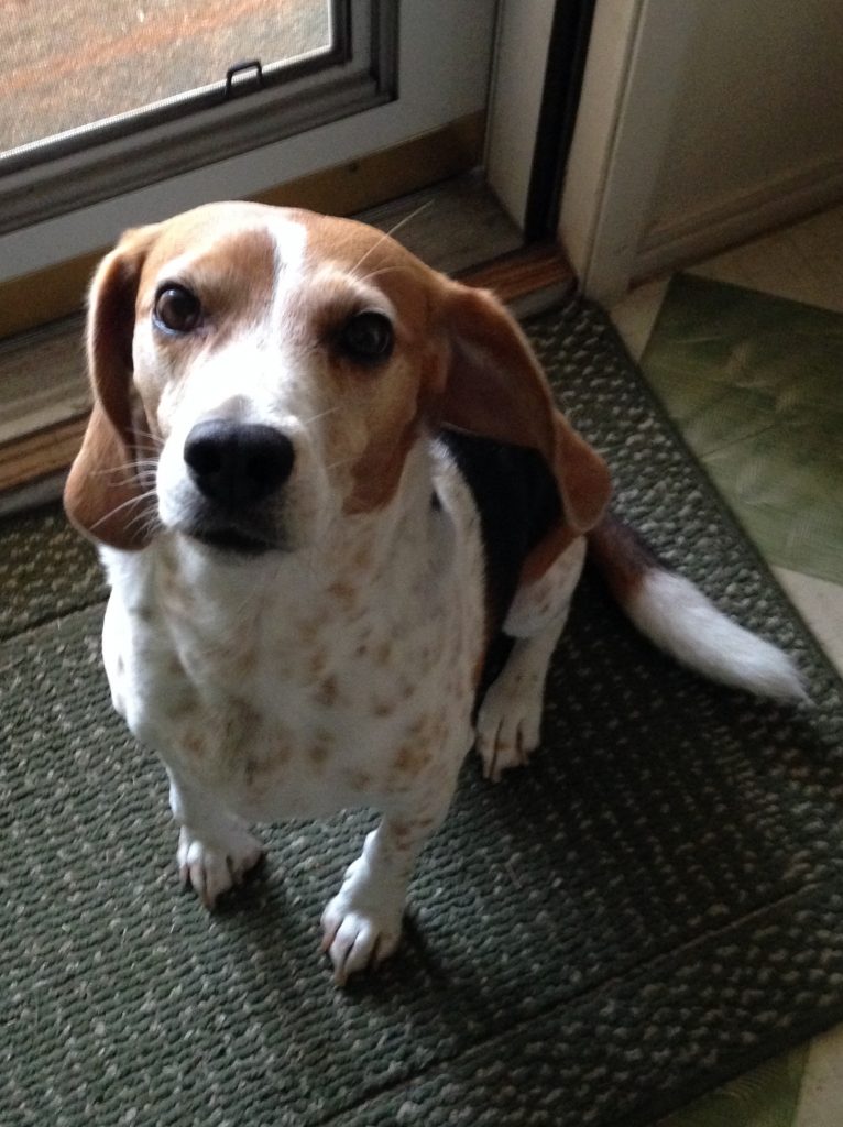 MONDAY MEDITATION: Reverse Adoption (August 31) – Greg Weeks